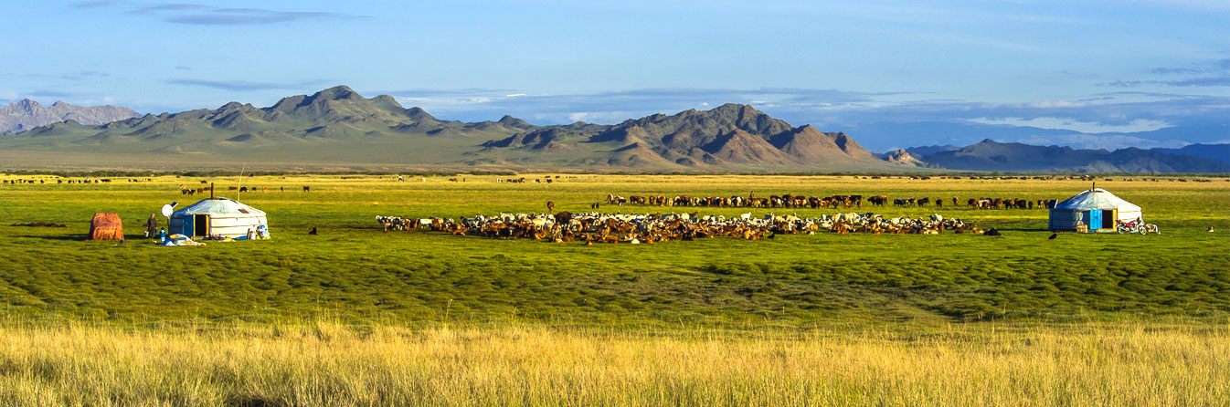 Mongolia Tour| Mongolia Travel Company | Mongolia Trip